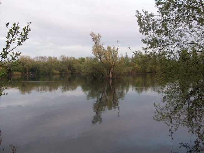 Dorchester Lake – Abingdon & Oxford Anglers Alliance