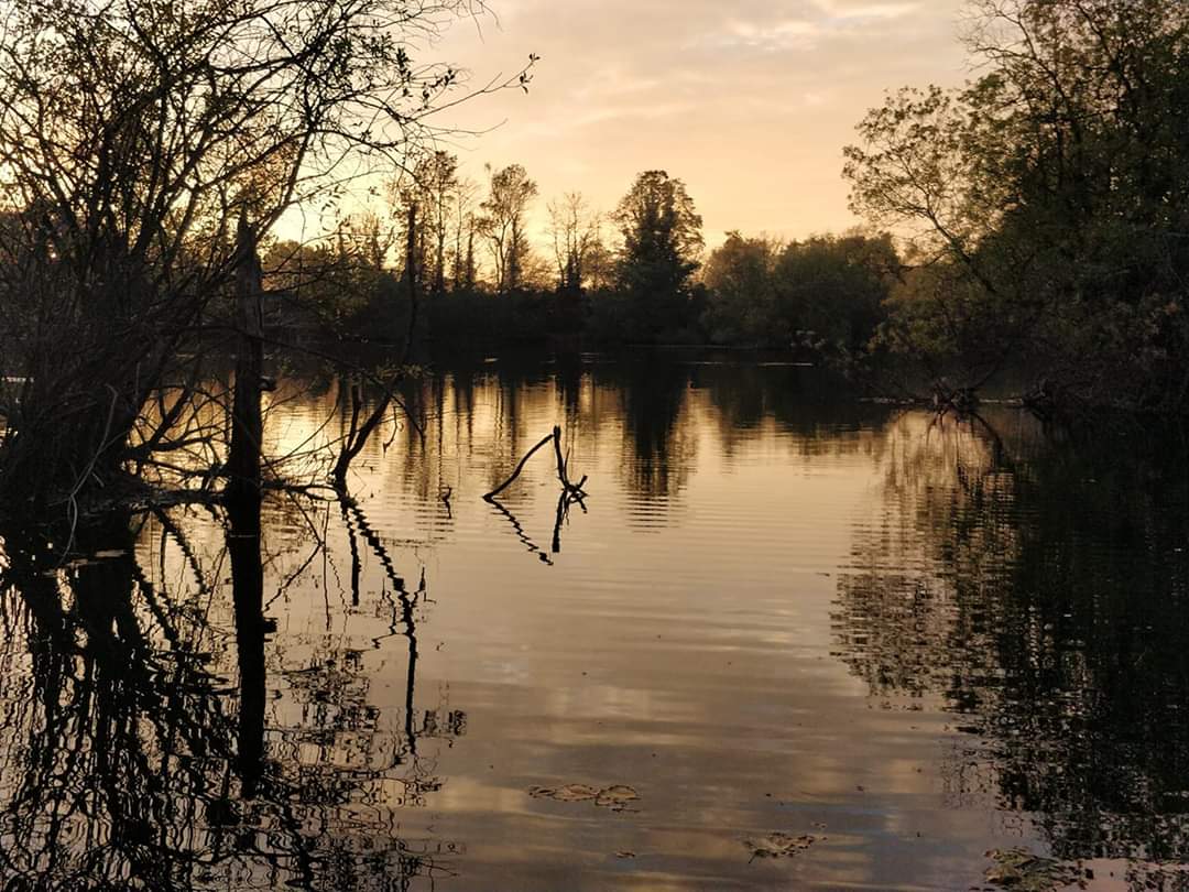 Dorchester Lake – Abingdon & Oxford Anglers Alliance